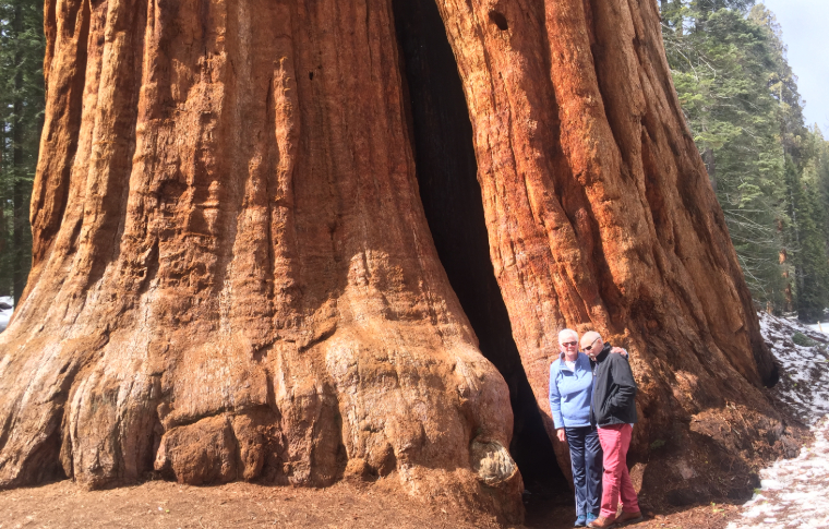Kings Canyon National Park Tours | Sequoia Sightseeing Tours